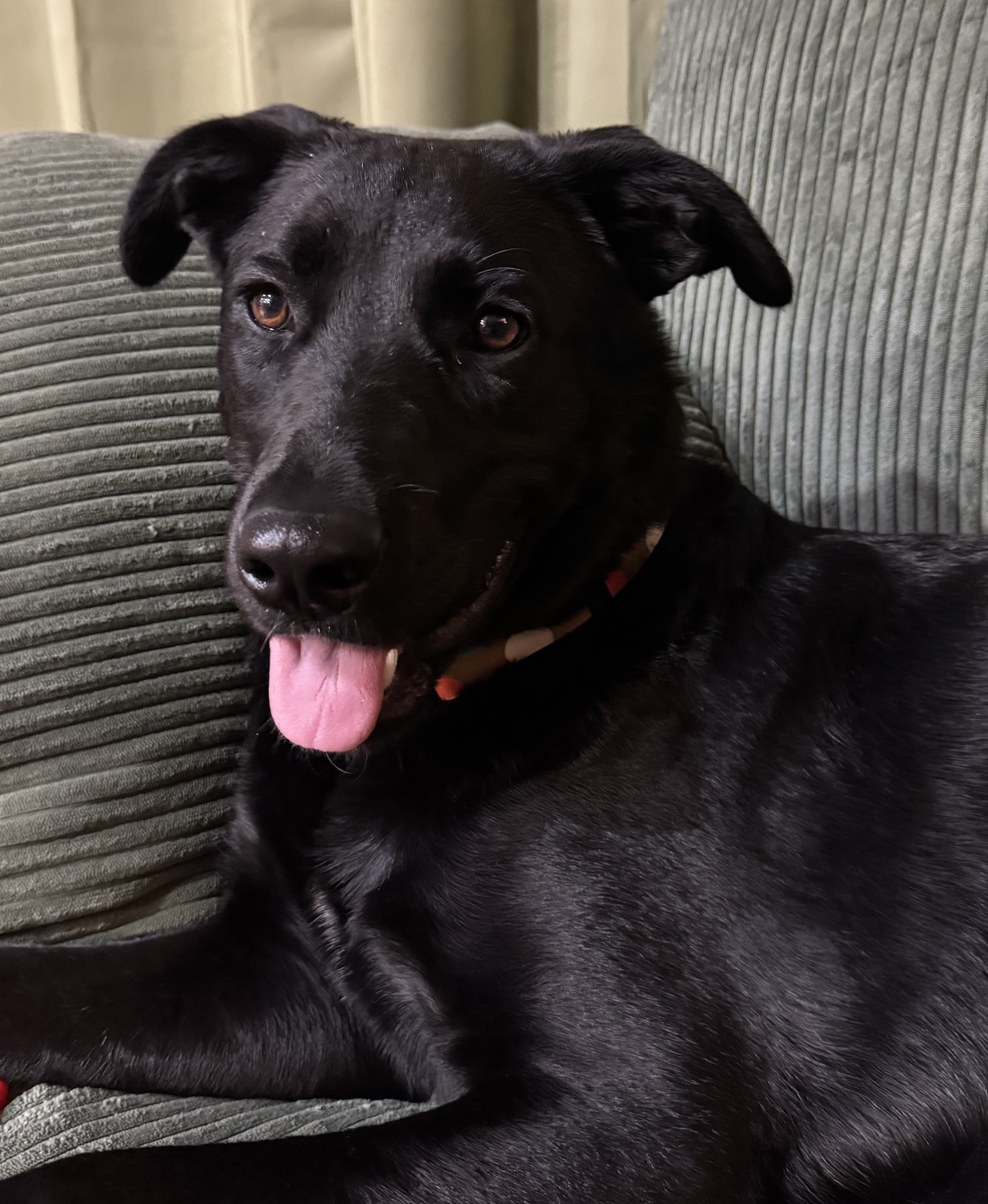 Gobble Gobble, Squam – nadreck.me